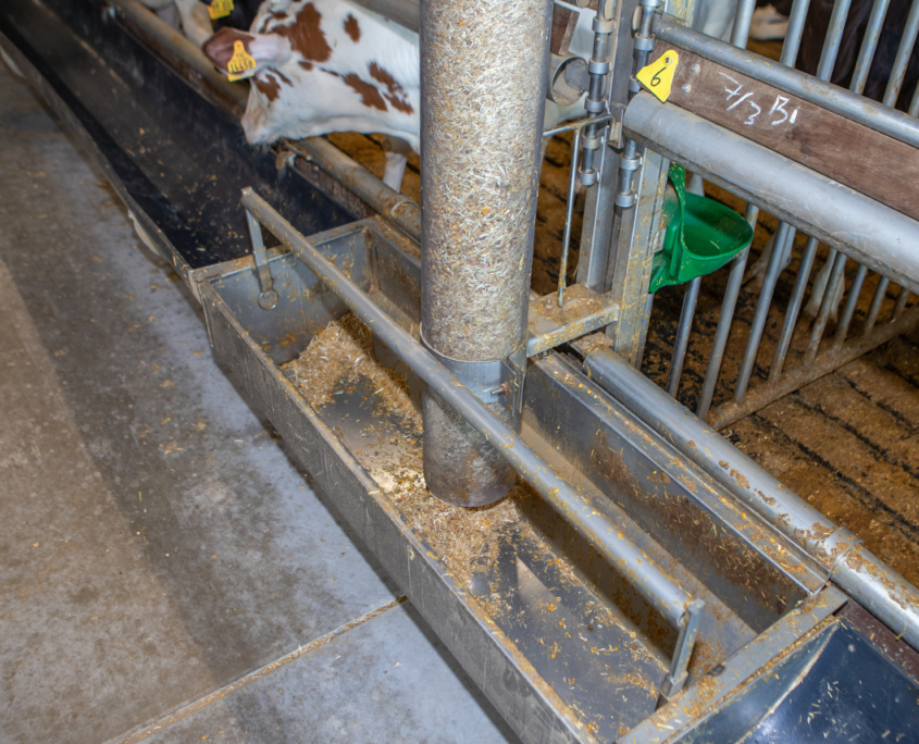 Automatisch Ruwvoer - Verberk